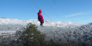 Colorado's #1 Zipline Tours | Royal Gorge Zipline Tours